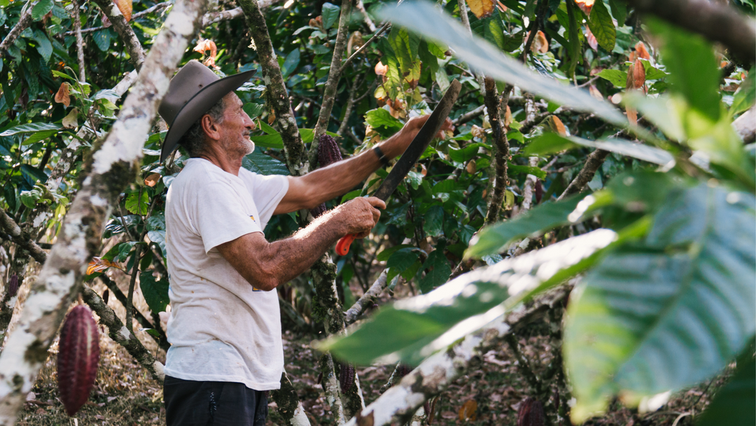 Ethics & Values – Fetcha Chocolates